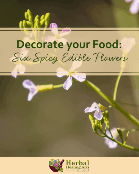 Decorate Your Food - Six Spicy Edible Flowers