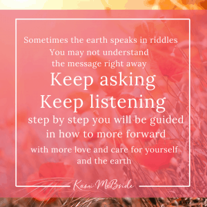 riddles - ig - Kami McBride