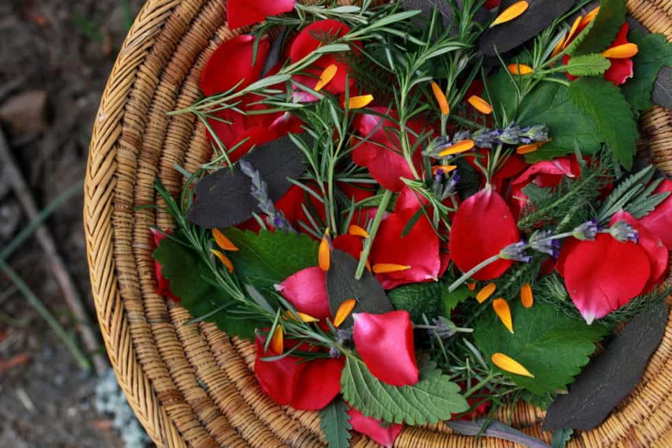 How to Make an Herbal Bath: 5 Healing Recipes