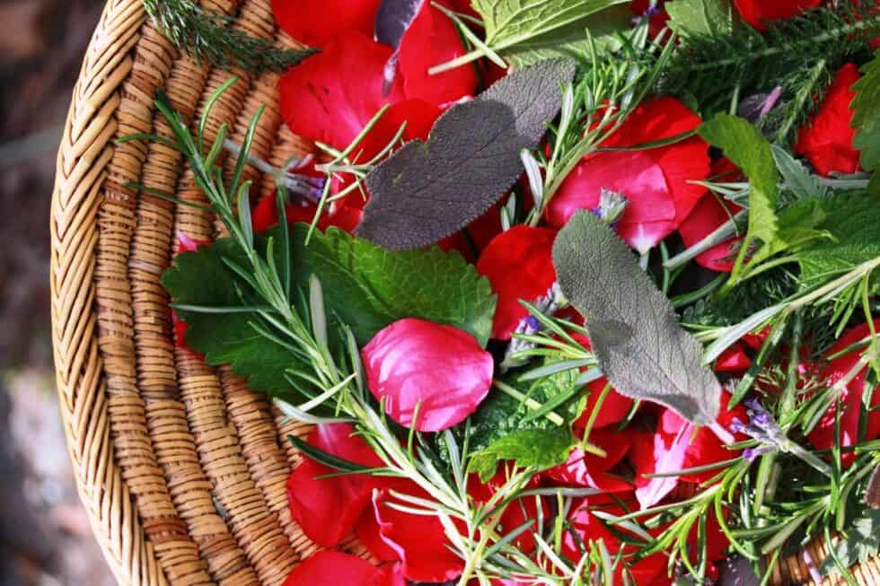 How to Make an Herbal Bath: 5 Healing Recipes