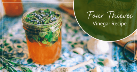 Legend, Lore, and My Four Thieves Vinegar Recipe - Kami McBride