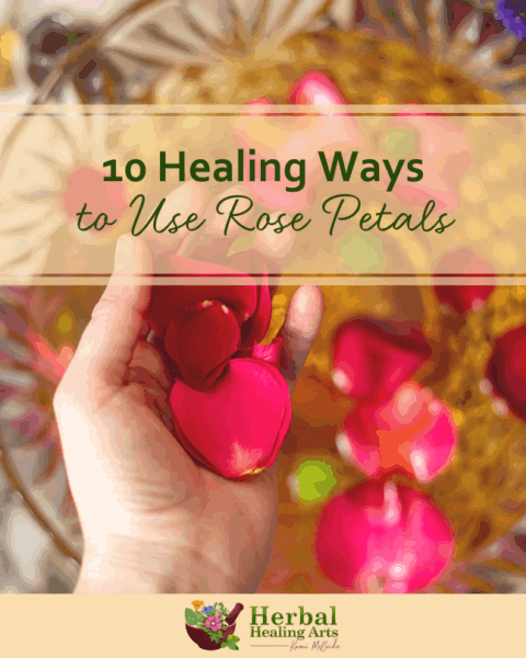 10 Healing Ways to Use Rose Petals - Kami McBride