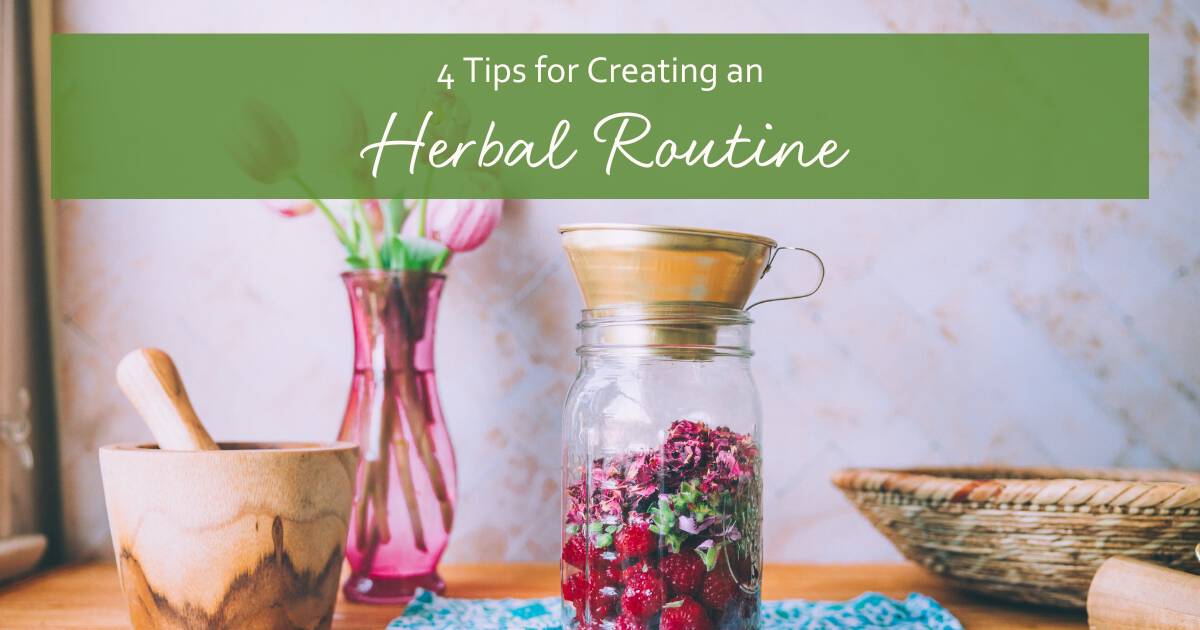 4 Tips For Creating an Herbal Routine - Kami McBride