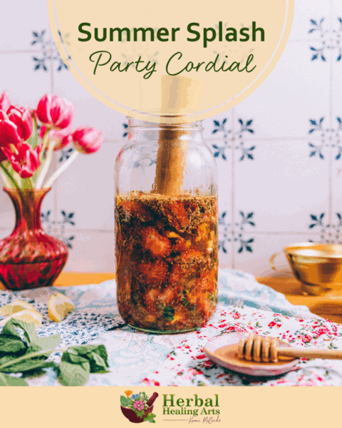 Summer Cordial: Easy, Relaxing, Refreshing - Kami McBride