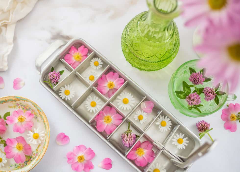 Edible Flower Recipes - Kami McBride