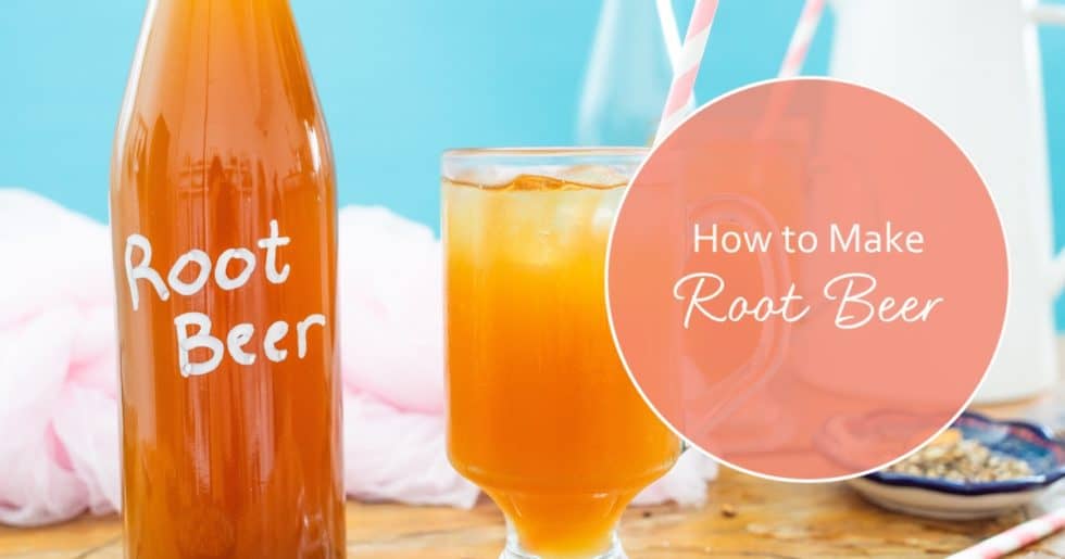 How to Make Root Beer with Sarsaparilla - Kami McBride