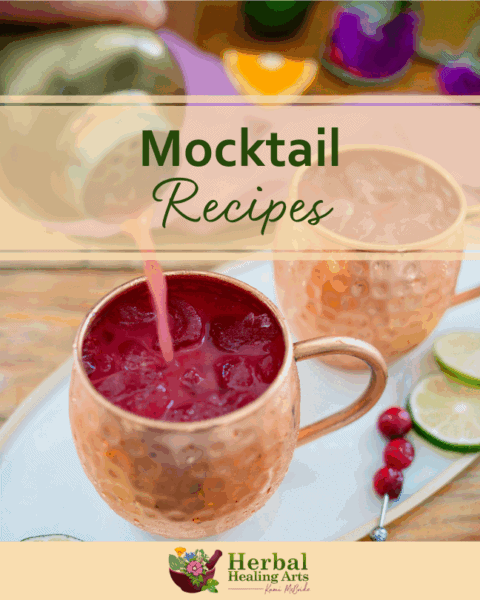 3 Herbal Mocktail Recipes to Warm Your Body & Soul - Kami McBride