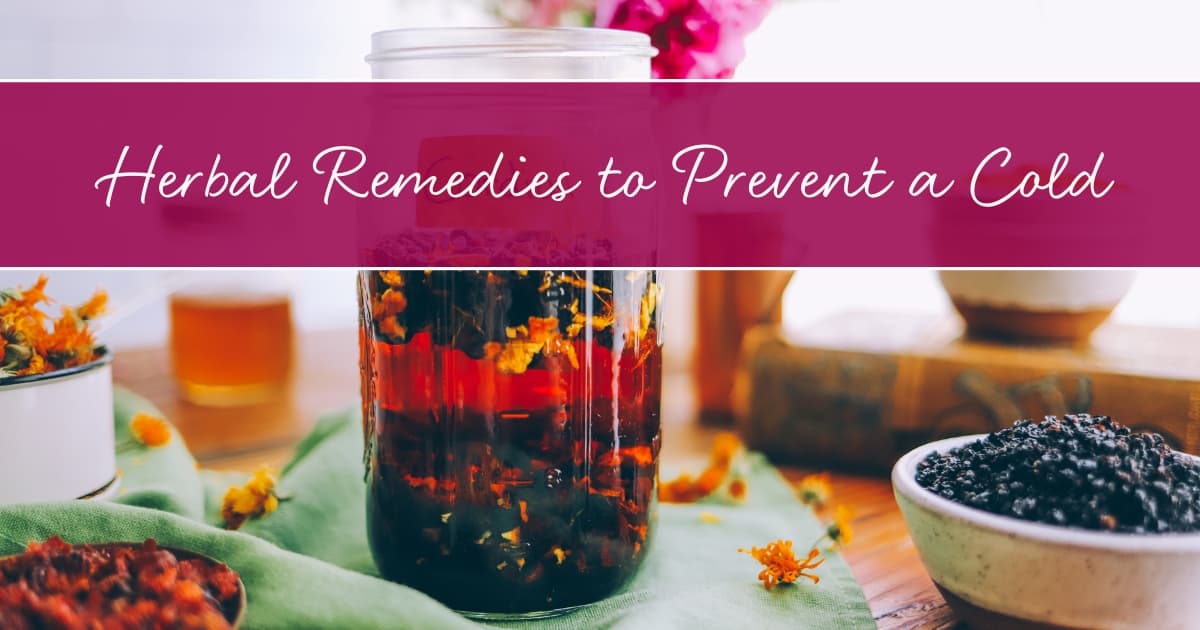 Herbal Remedies to Prevent a Cold Before It Starts - Kami McBride