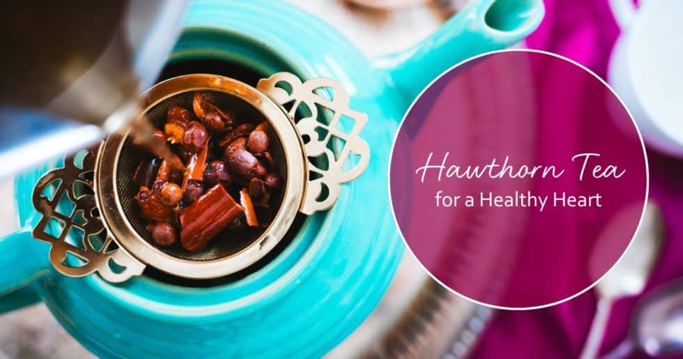 Hawthorn Tea for a Healthy Heart - Kami McBride