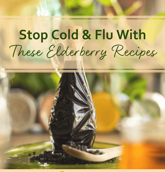 Stop Cold and Flu With These Elderberry Recipes - Kami McBride